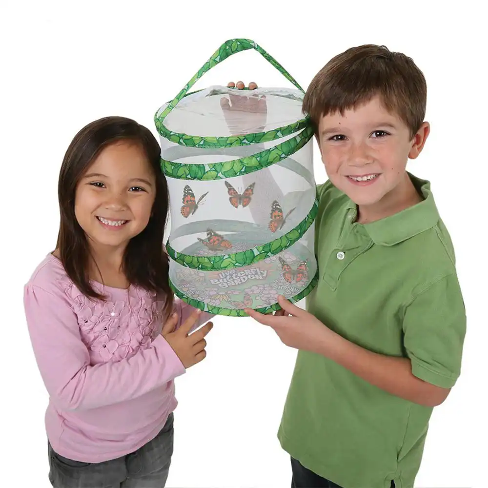 Insect Lore Live Butterfly Garden Hatching Kit | World Wide Shopping Mall